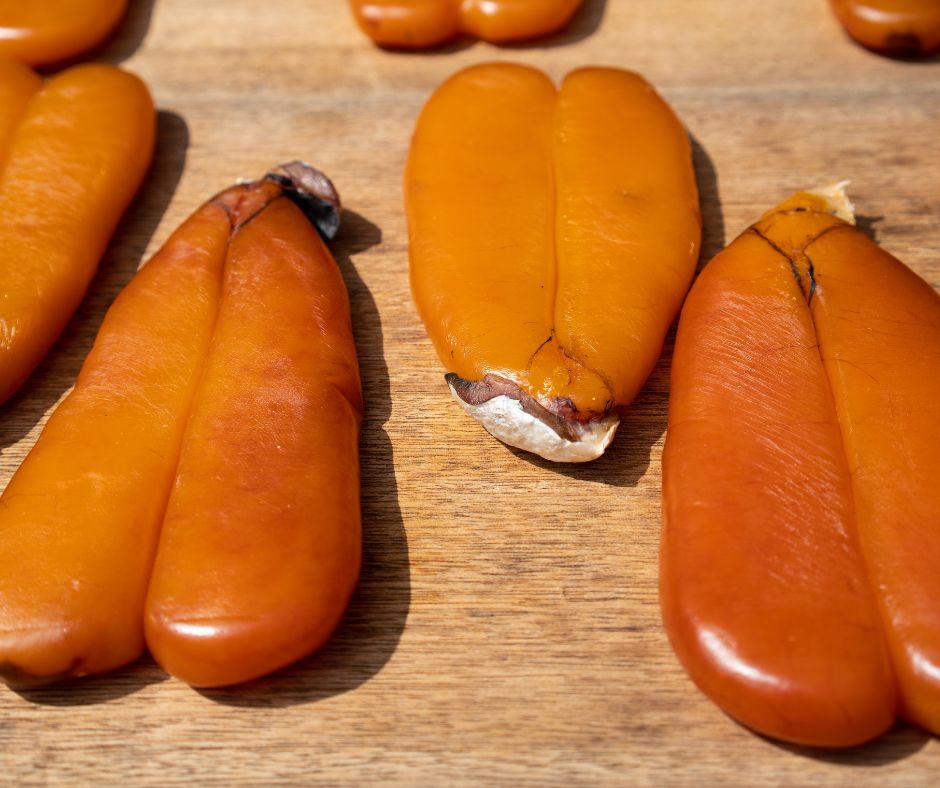 La bottarga di Cabras - Prenota il tuo traghetto per la Sardegna